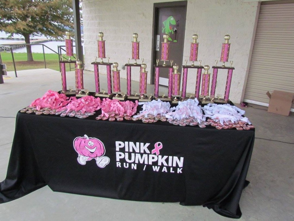 Race Review: Pink Pumpkin Run 2015 - Stories By Stephen